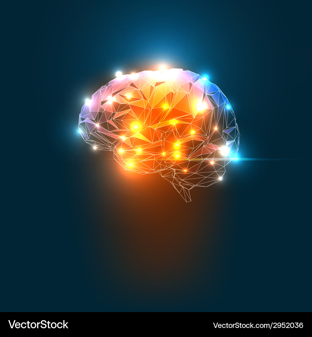 Human brain Royalty Free Vector Image - VectorStock