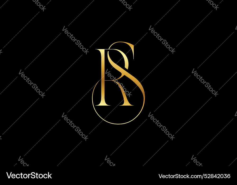 Logo r s or monogram serif luxury gold Royalty Free Vector