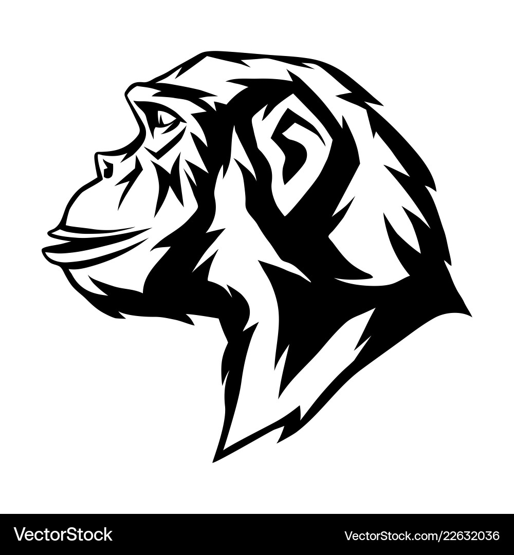 Wild monkey head Royalty Free Vector Image - VectorStock