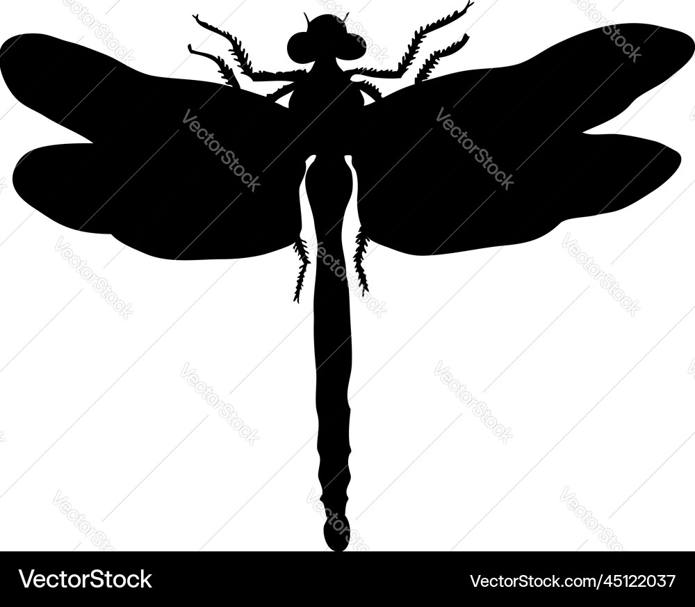 Dragonfly silhouette Royalty Free Vector Image