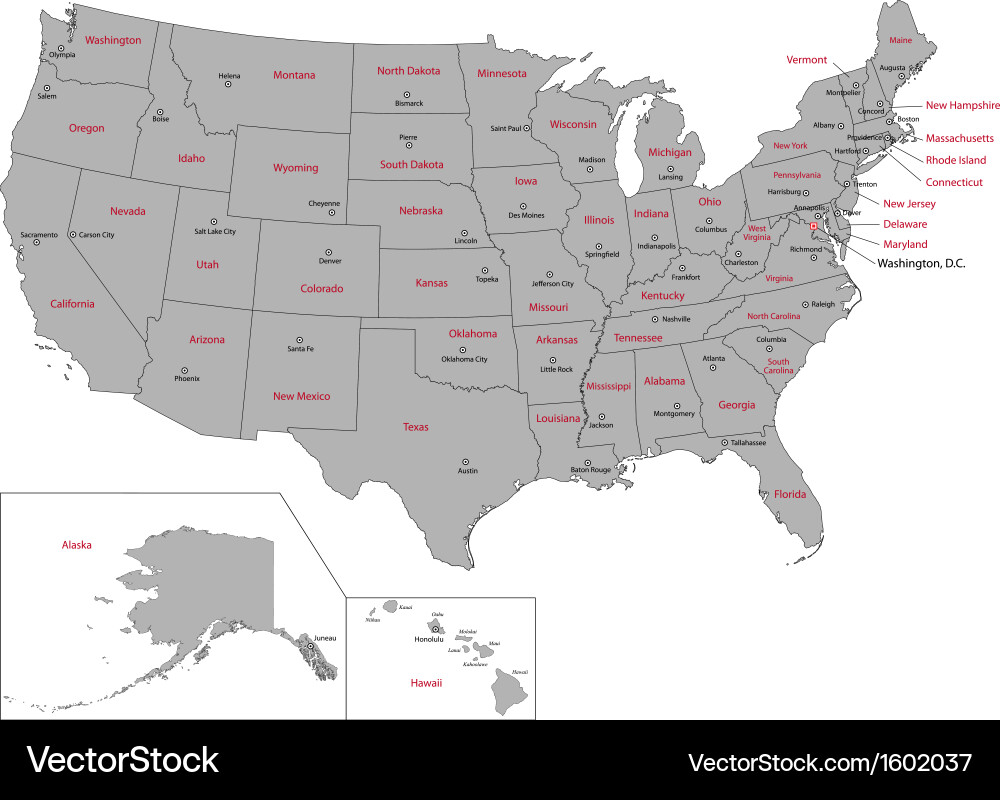 Gray usa map Royalty Free Vector Image - VectorStock