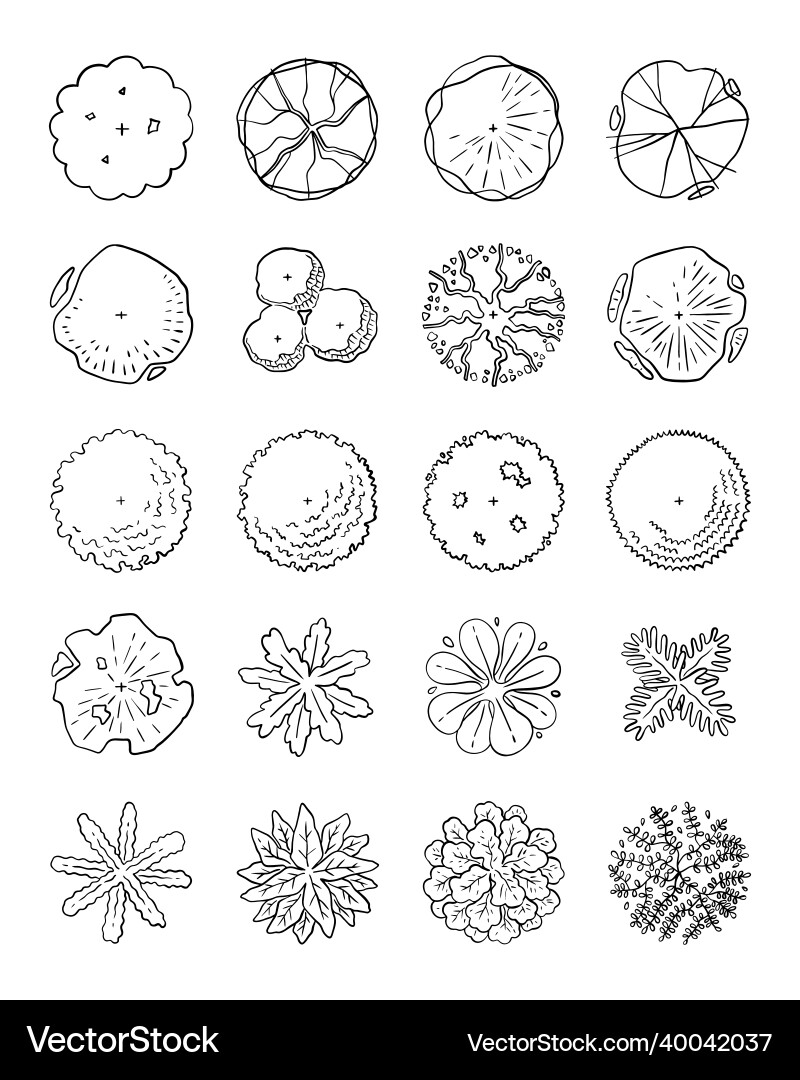 Hand drawn set of top view tree Royalty Free Vector Image