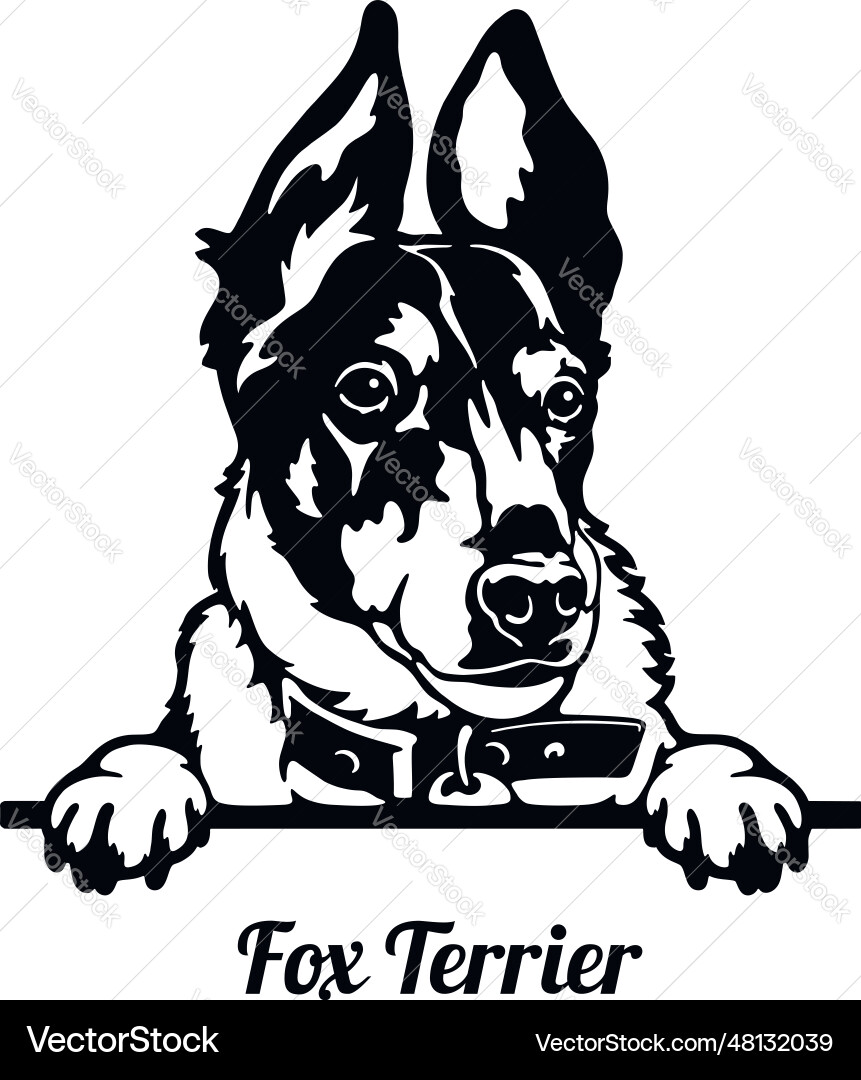 Fox Terrier Dog - Peeking Portrait Royalty Free Vector Image