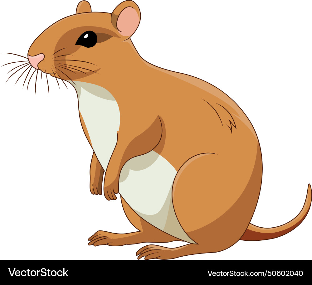 Cute agouti cartoon on white background Royalty Free Vector