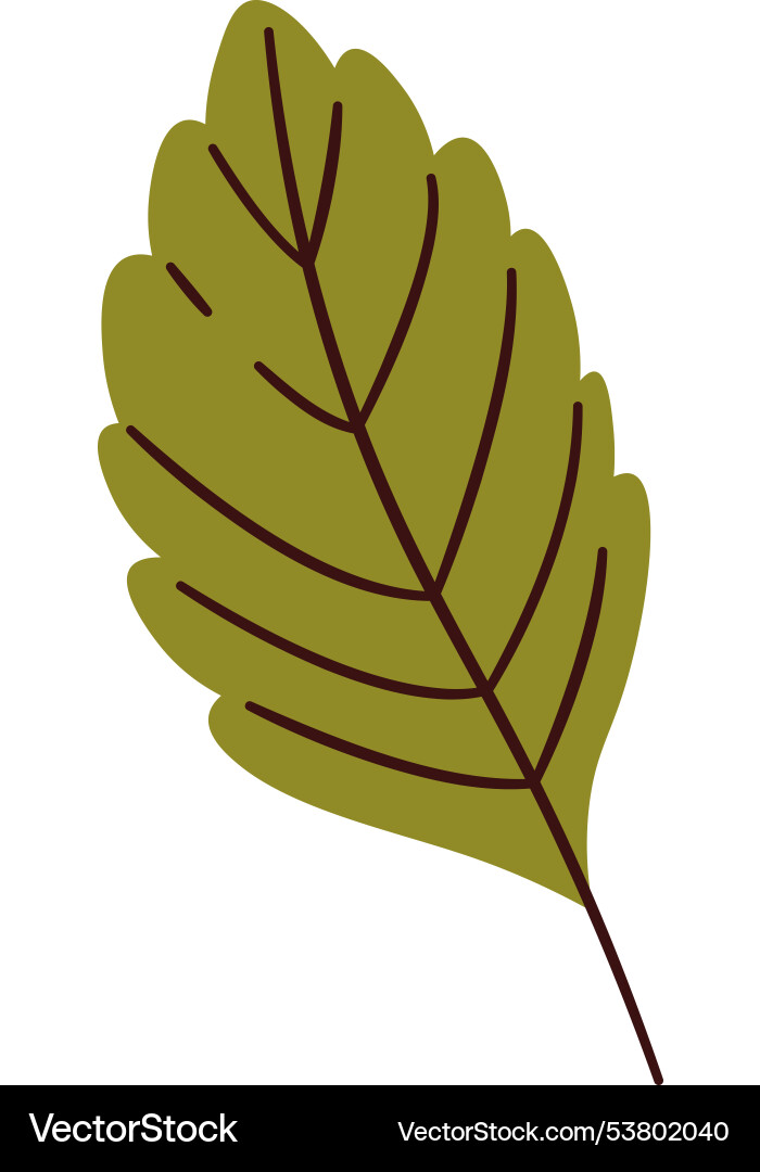 Handdrawn autumn leaf Royalty Free Vector Image