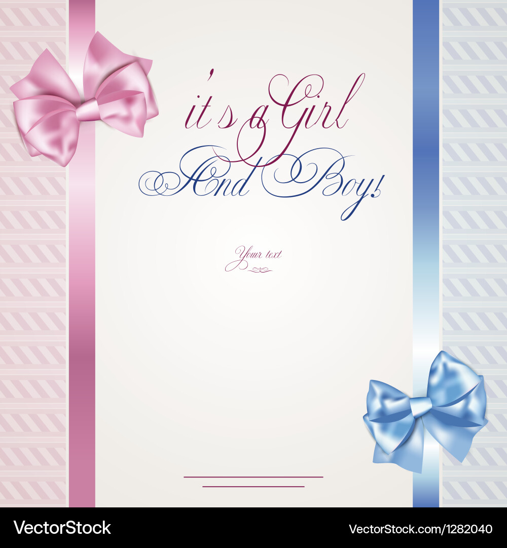 Twins Baby Announcement Card Royalty Free Vector Image