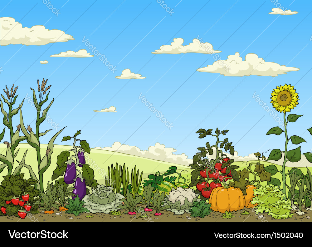 Vegetable garden bed Royalty Free Vector Image