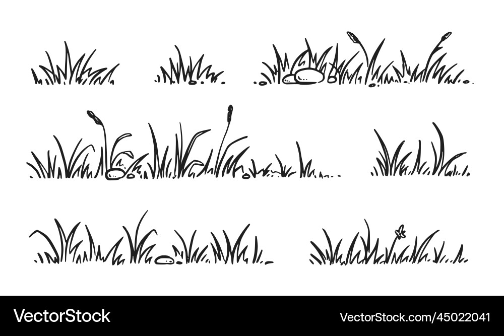 Grass doodle sketch style set hand drawn Vector Image