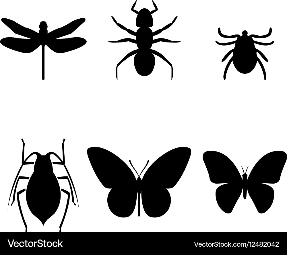 Bugs set Royalty Free Vector Image - VectorStock
