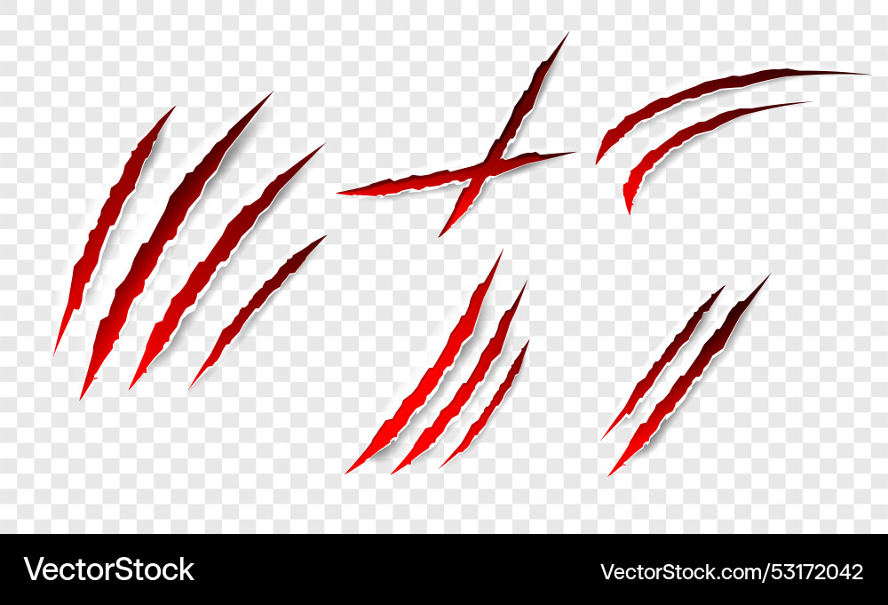 Claws scratches - isolated Royalty Free Vector Image