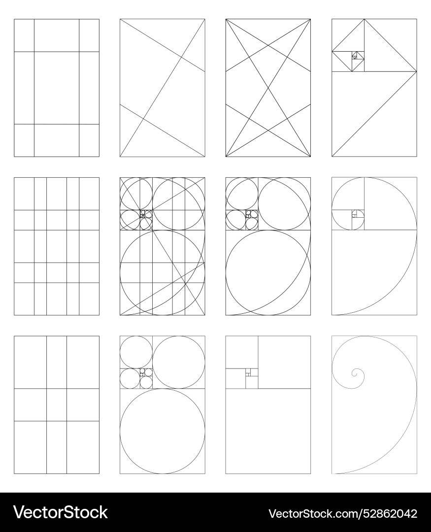 Harmony proportions template Royalty Free Vector Image