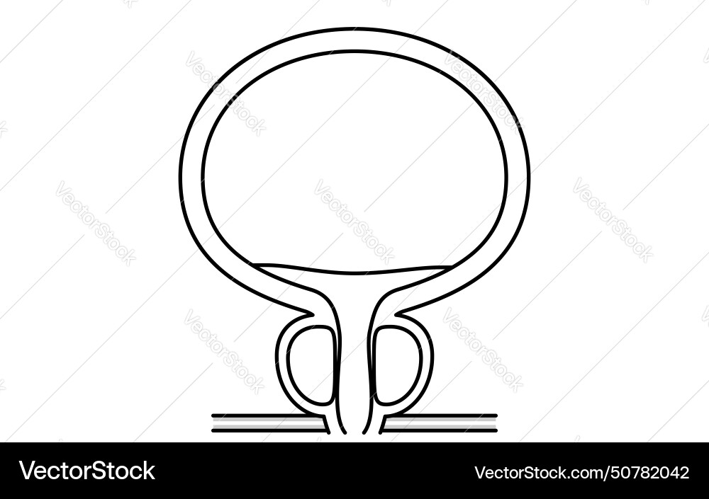 Medical of benign prostatic hyperplasia normal Vector Image
