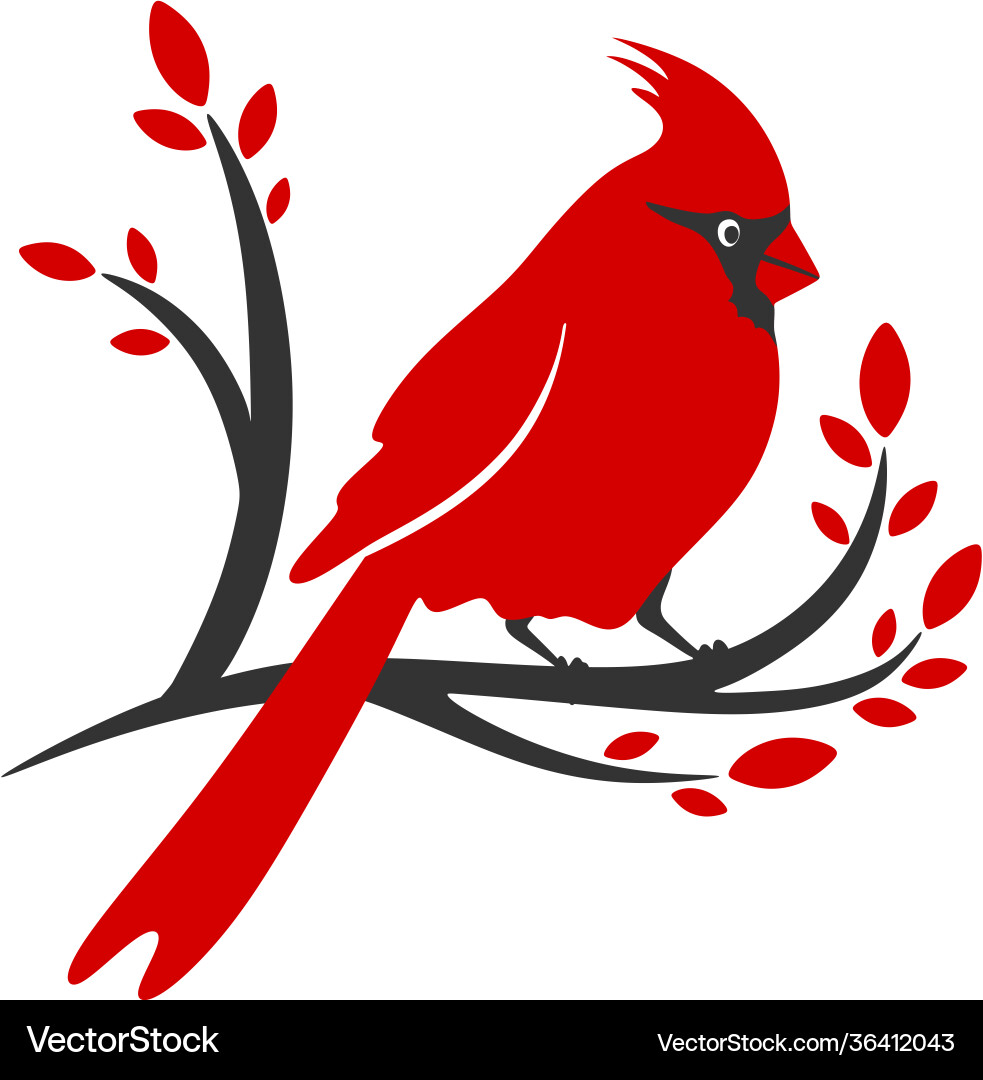 Cardinal bird Royalty Free Vector Image - VectorStock