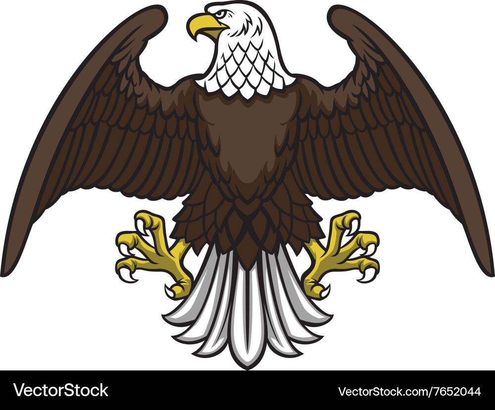 Bald eagle spread the wing Royalty Free Vector Image