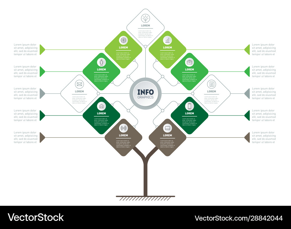 Growth Timeline Infographic Royalty Free Vector Image