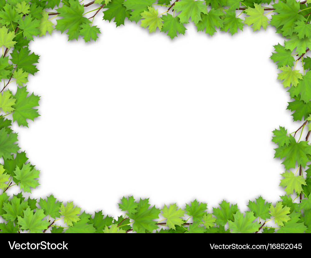 Green Maple Leaf Frame Royalty Free Vector Image
