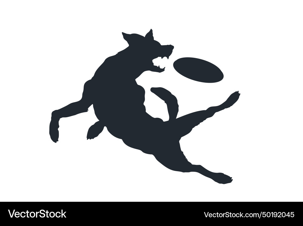 Jumping Dog with Frisbee Royalty Free Vector Image