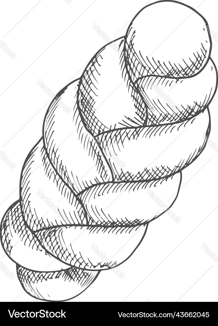 Pastry food braided bread isolated sketch Vector Image