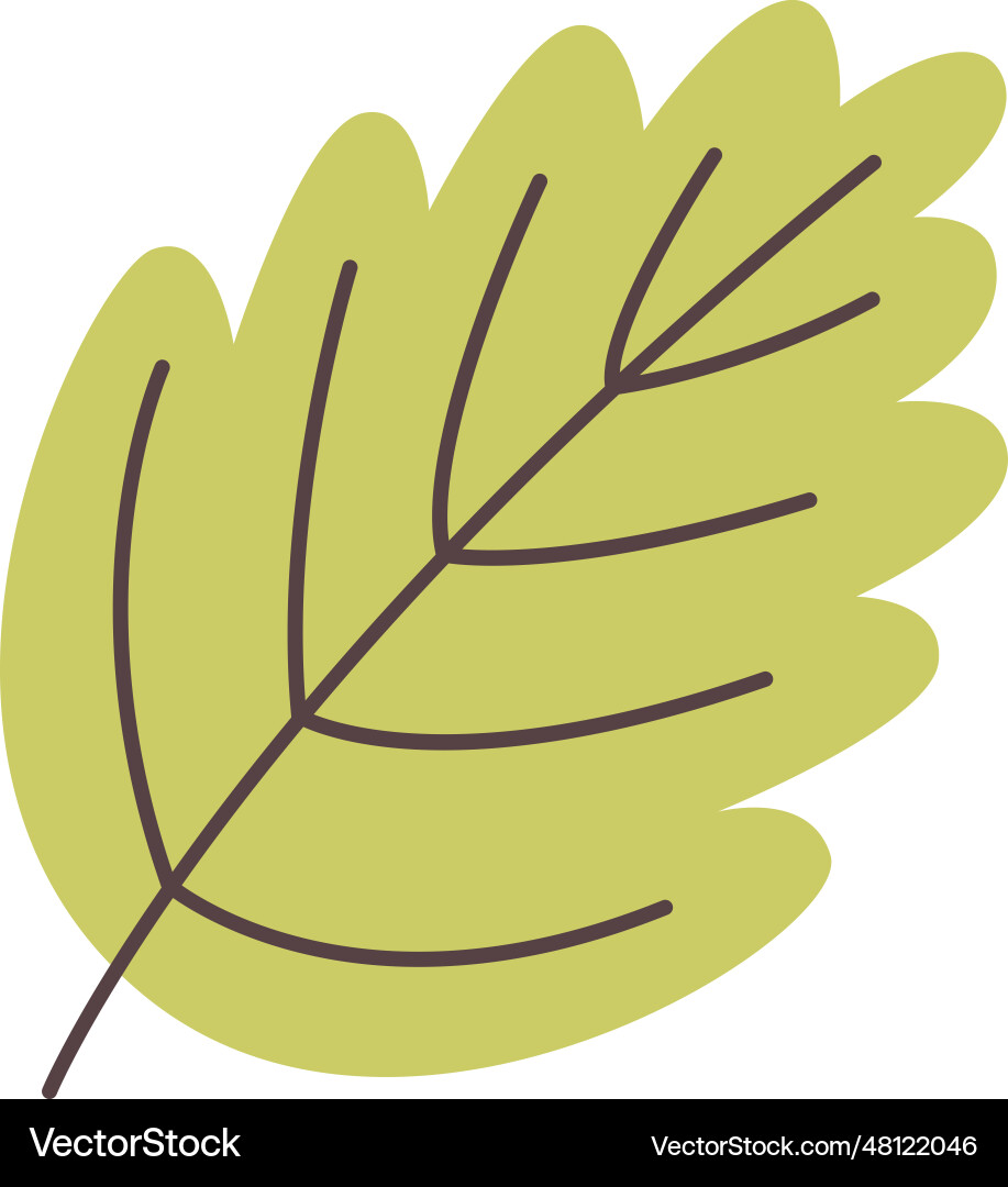 Tree leaf icon Royalty Free Vector Image - VectorStock