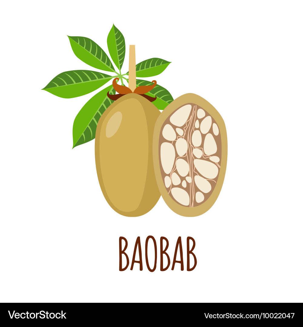 Baobab icon in flat style on white background Vector Image