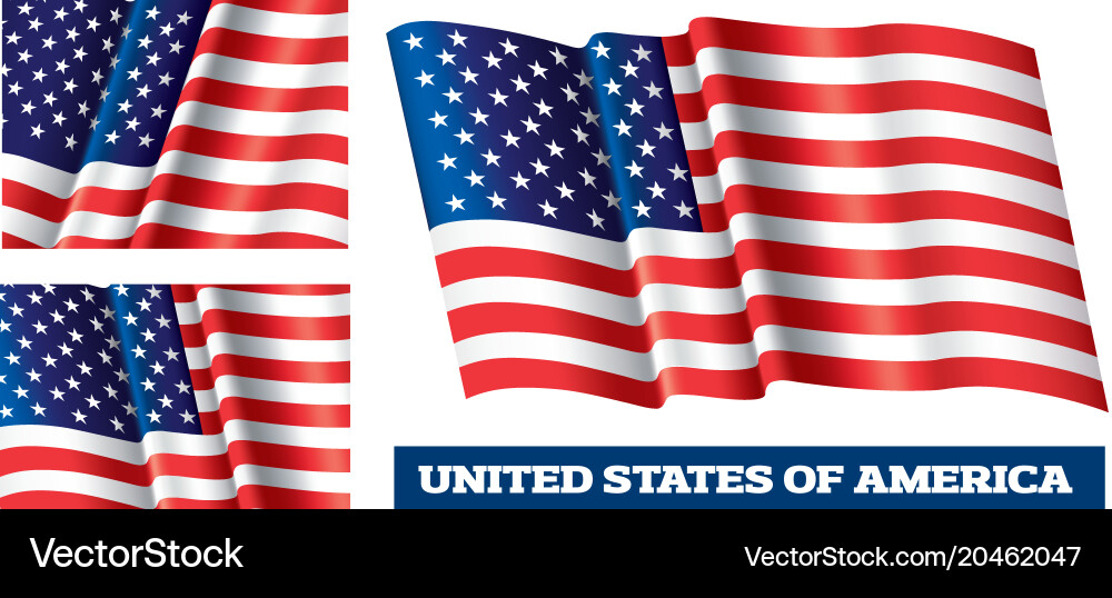Usa national flag Royalty Free Vector Image - VectorStock