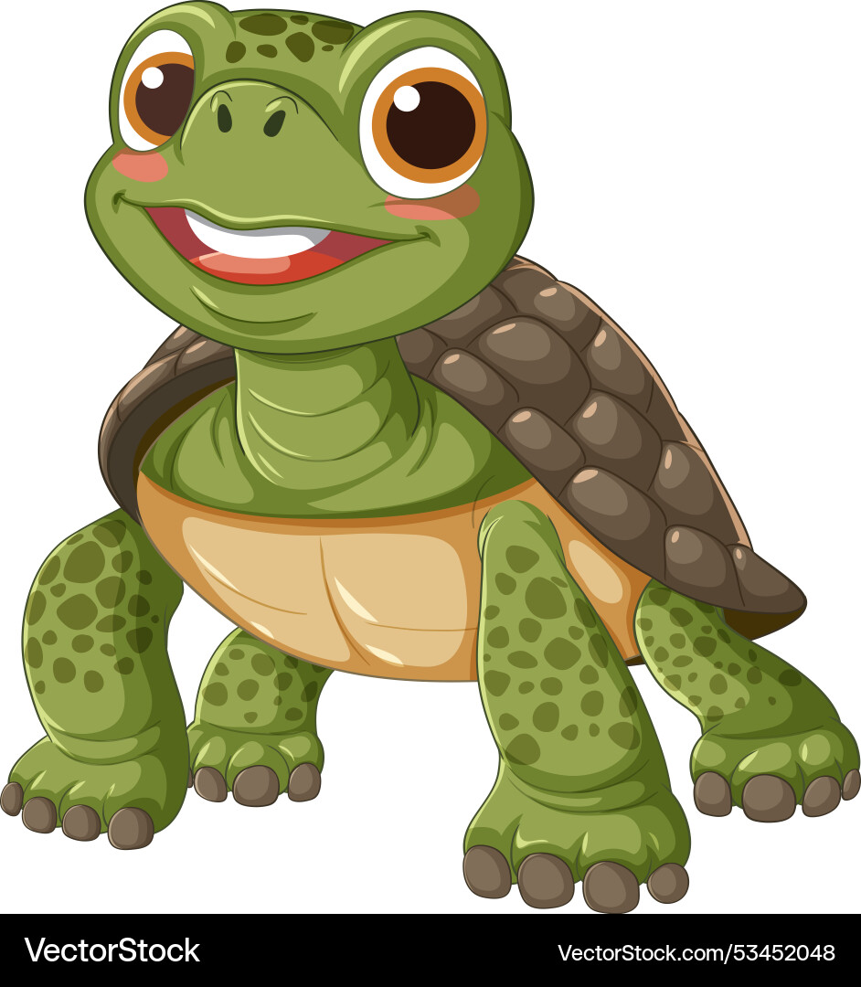 Smiling turtle with a detailed shell Royalty Free Vector