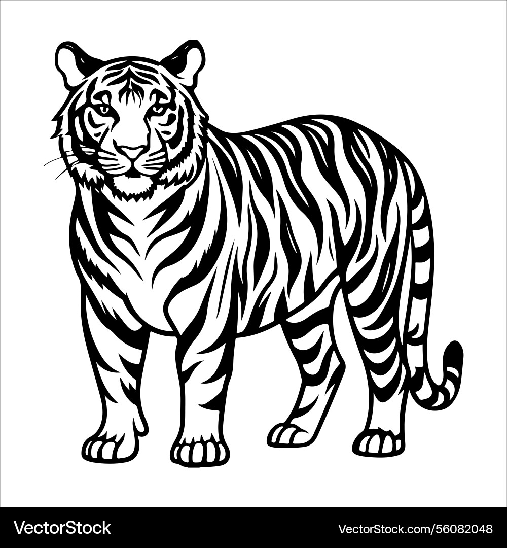 Striped tiger Royalty Free Vector Image - VectorStock
