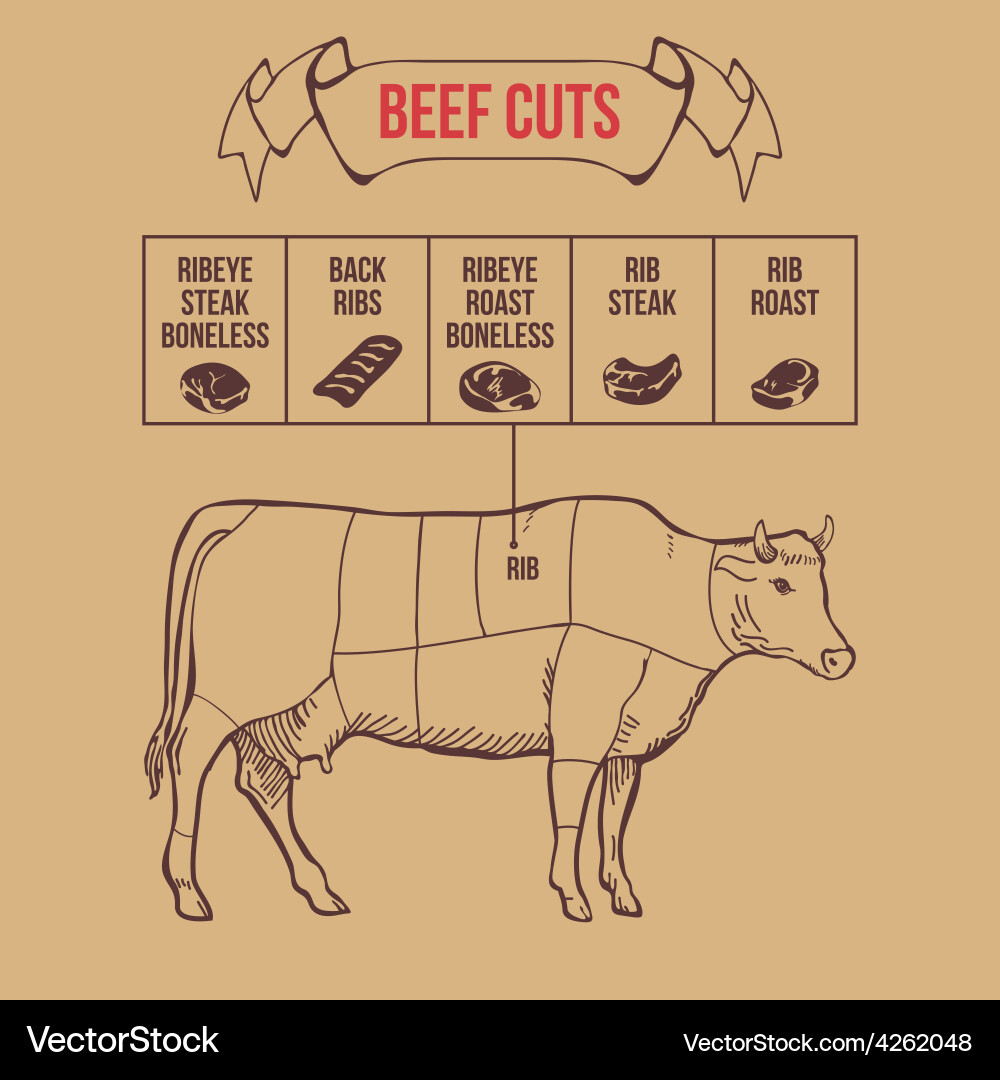 Vintage butcher cuts of beef scheme Royalty Free Vector