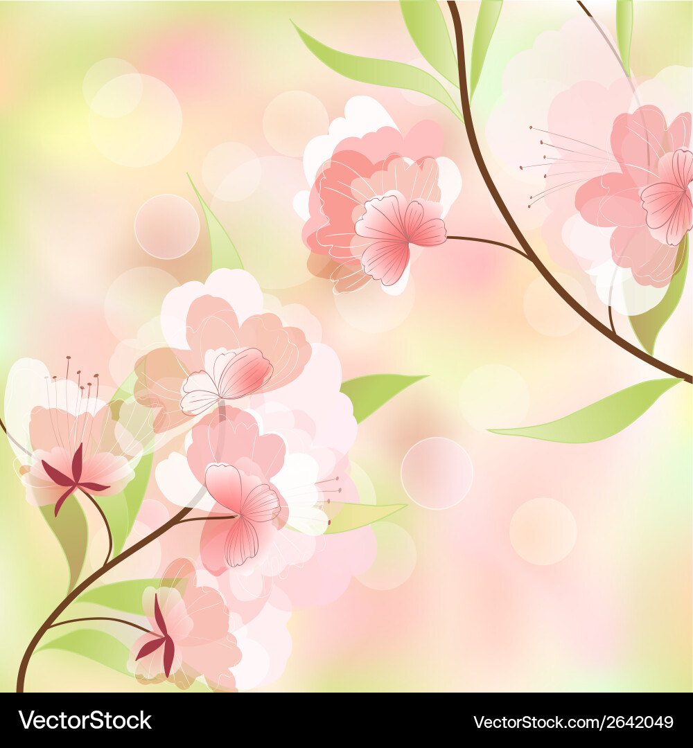 Spring background with cherry blossoms Royalty Free Vector