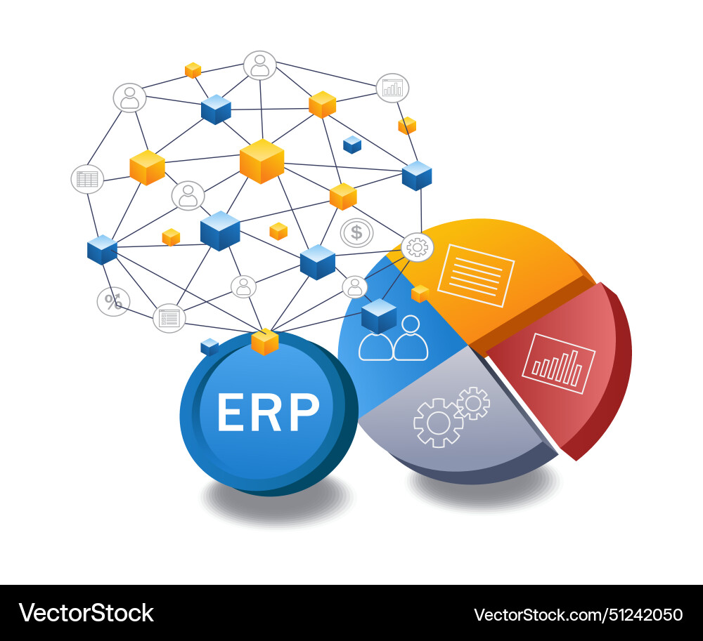 Business erp analysis network infographic 3d flat Vector Image