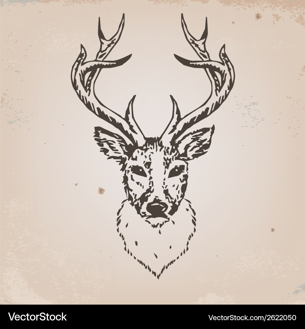 Deer head Royalty Free Vector Image - VectorStock