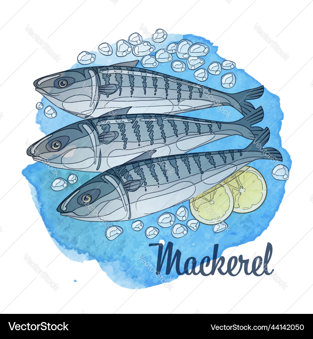 Frozen mackerel fish cartoon Royalty Free Vector Image