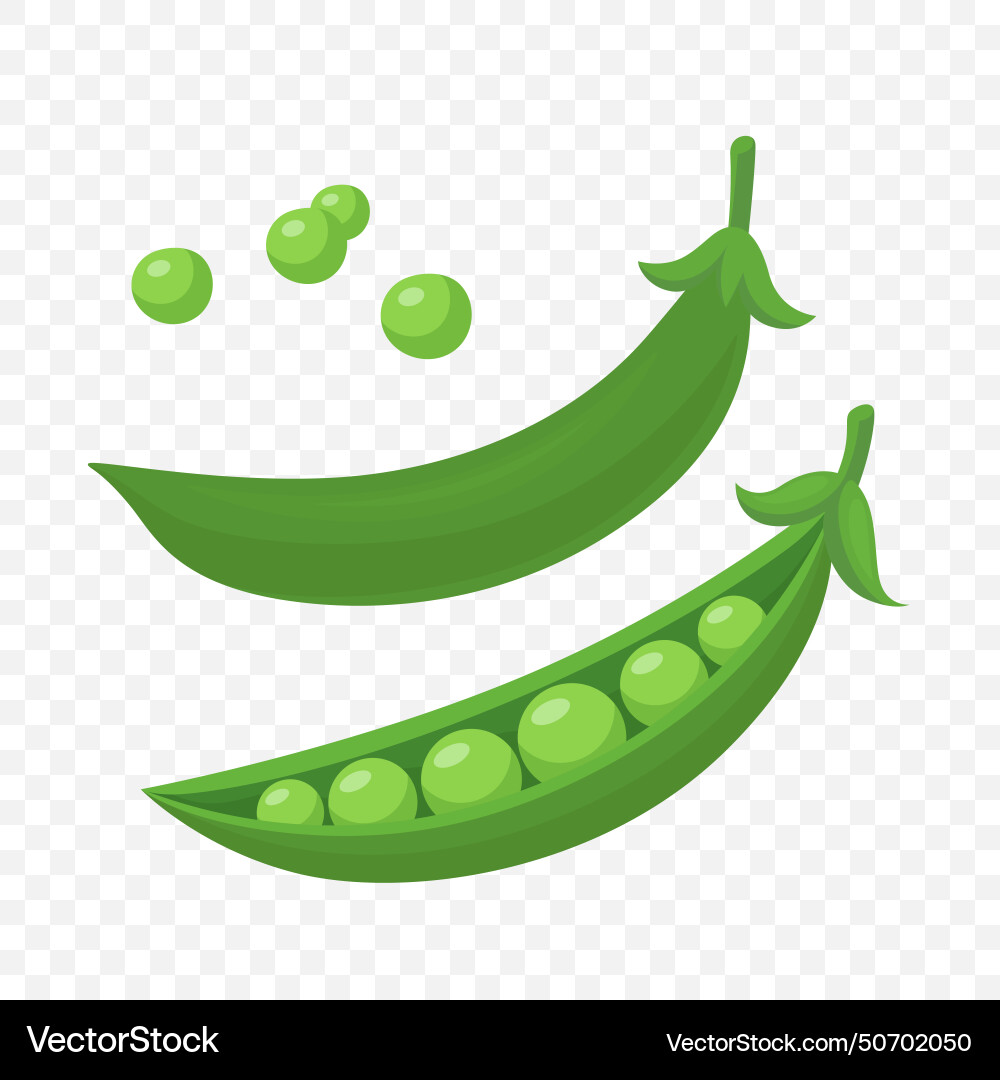 Green pea pod peas design template Royalty Free Vector Image
