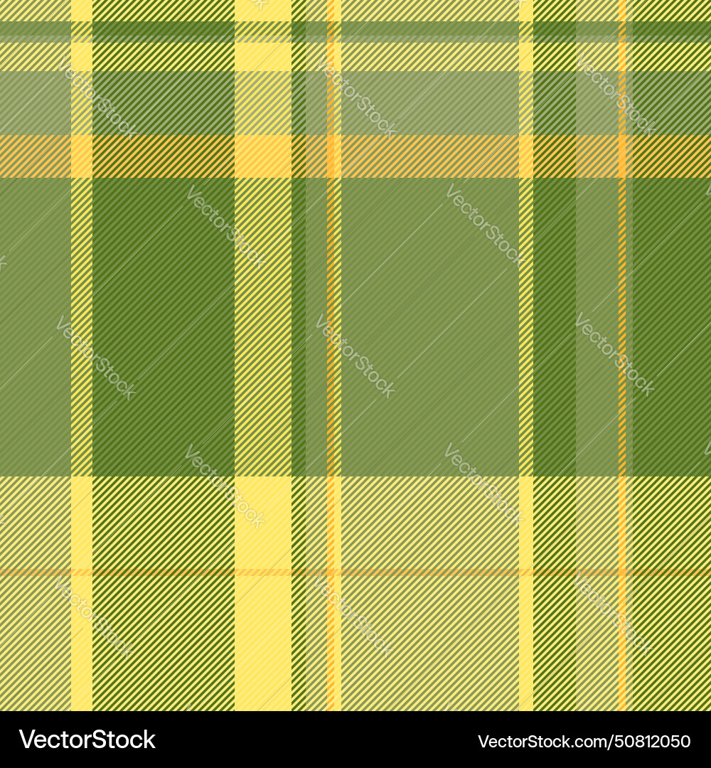 Seamless plaid textile of check pattern fabric Vector Image