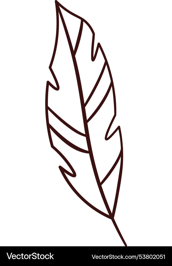 Handdrawn leaf outline Royalty Free Vector Image