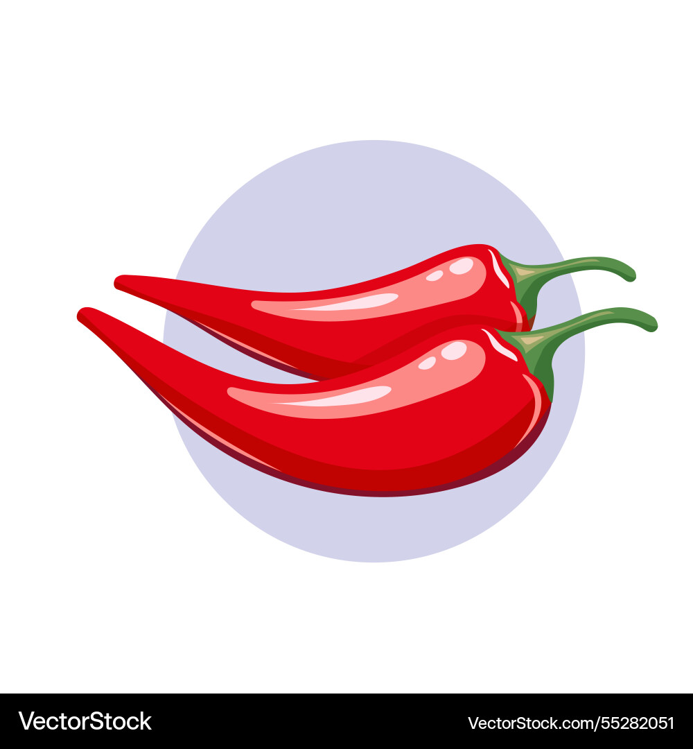 Pair red chile pepper Royalty Free Vector Image