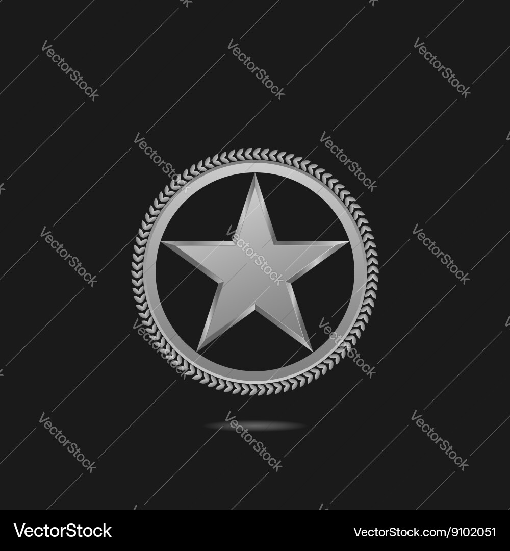 Silver star symbol Royalty Free Vector Image - VectorStock