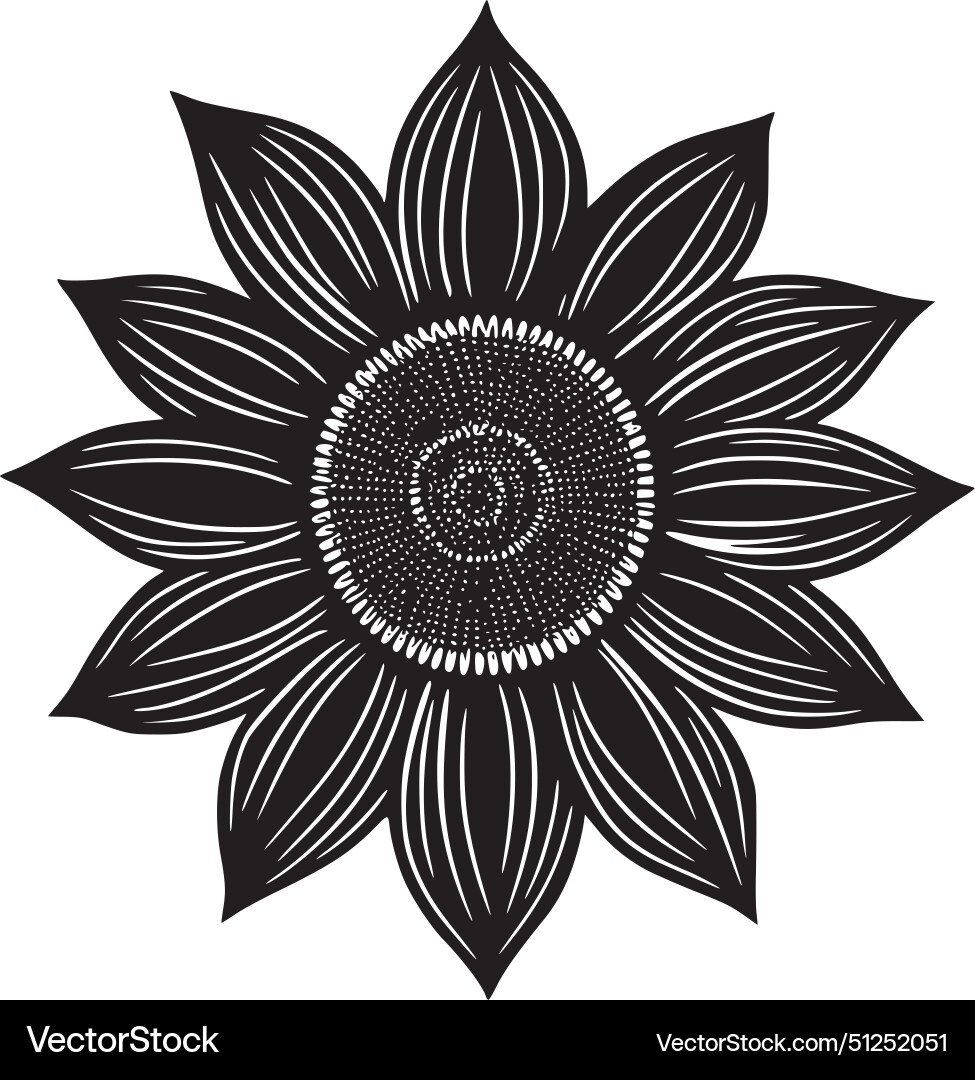 Sunflower - black and white isolated icon Vector Image