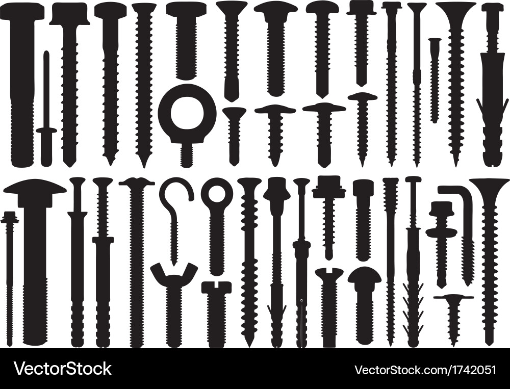Variety of Screw Types Royalty Free Vector Image