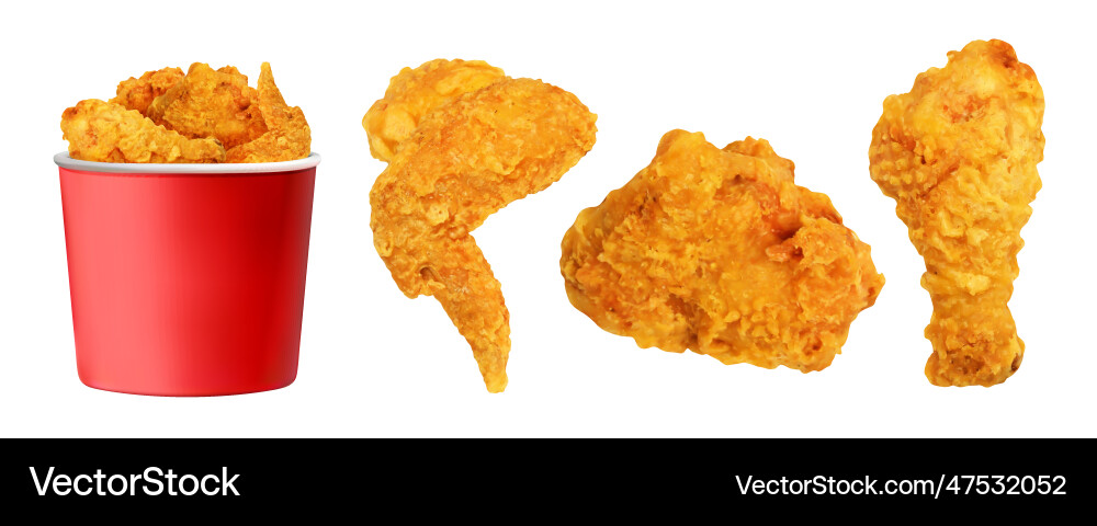 Fried chicken pieces Royalty Free Vector Image