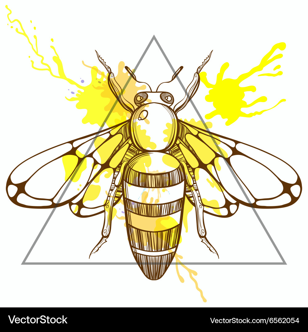 Entangle stylized bee in triangle frame Royalty Free Vector