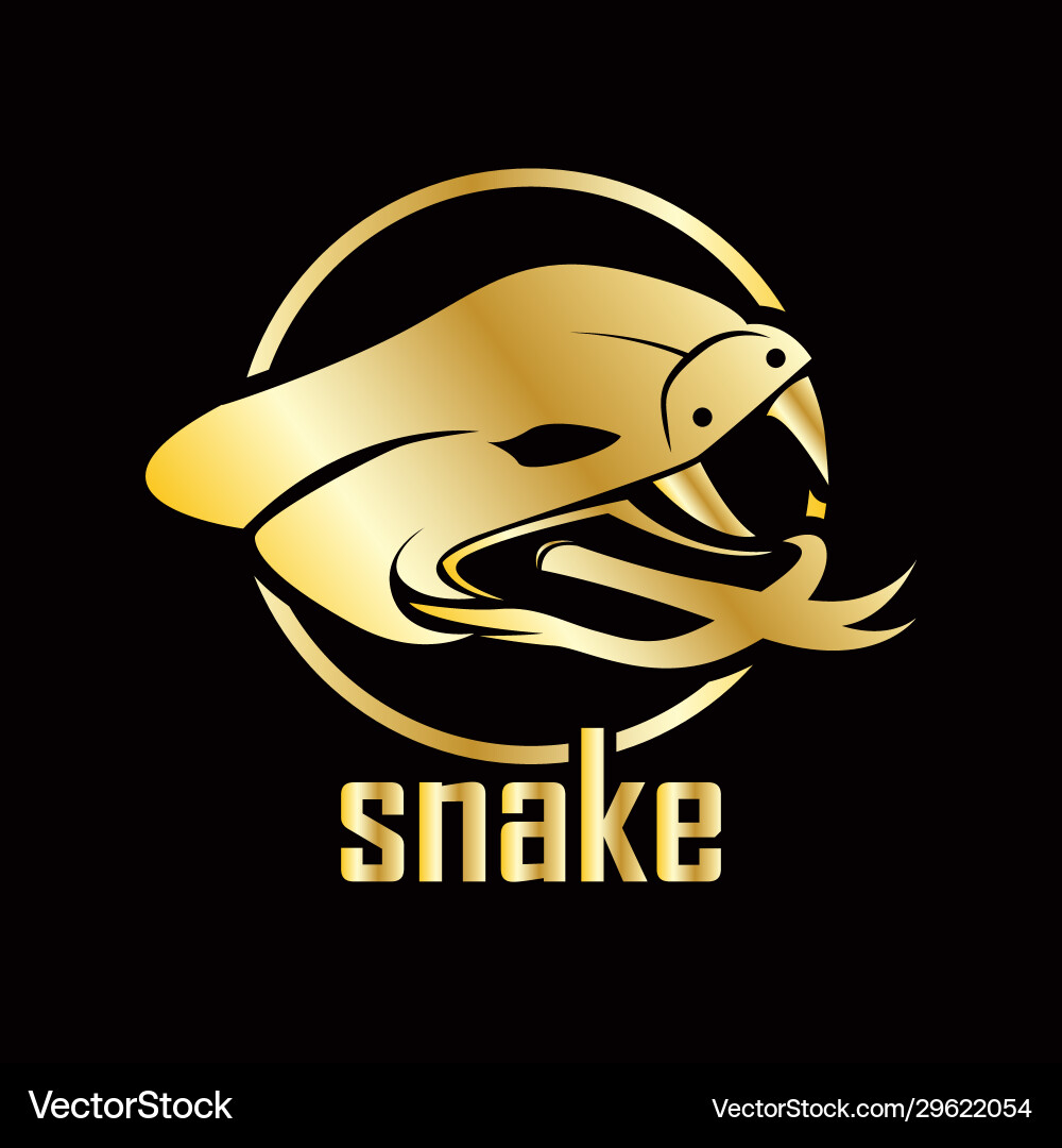Graphic snake head logo Royalty Free Vector Image