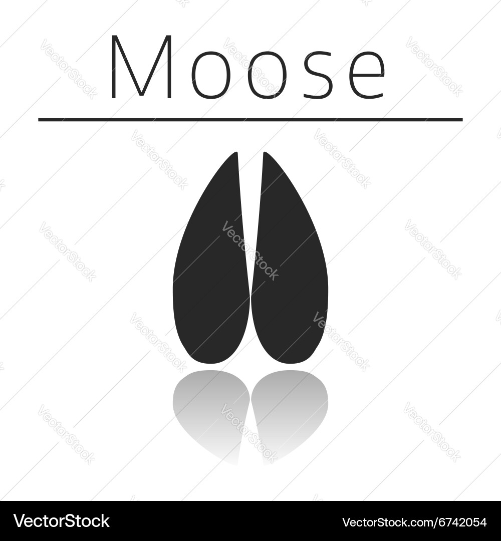 Moose animal track Royalty Free Vector Image - VectorStock