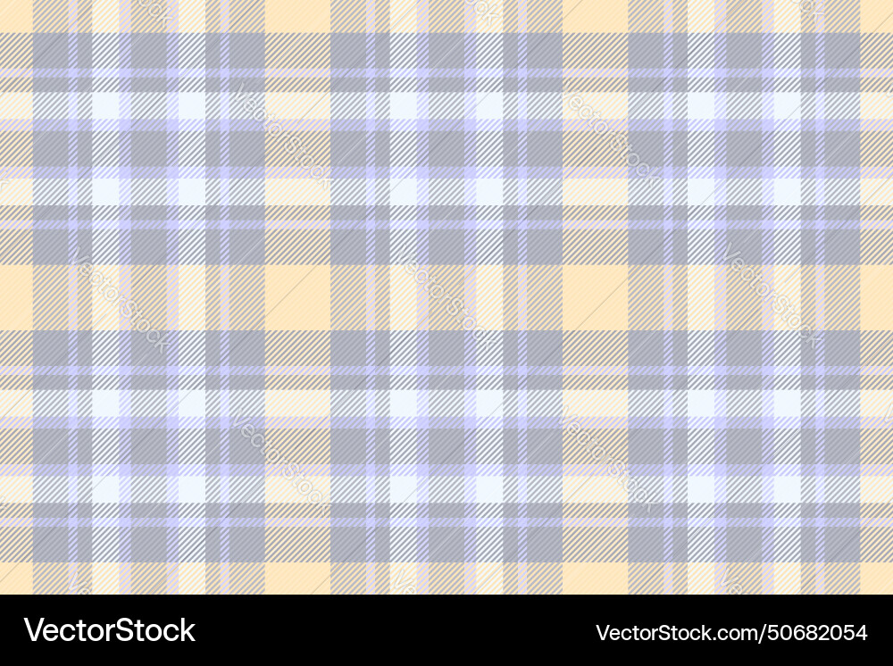 Net plaid tartan 1950s background check texture Vector Image