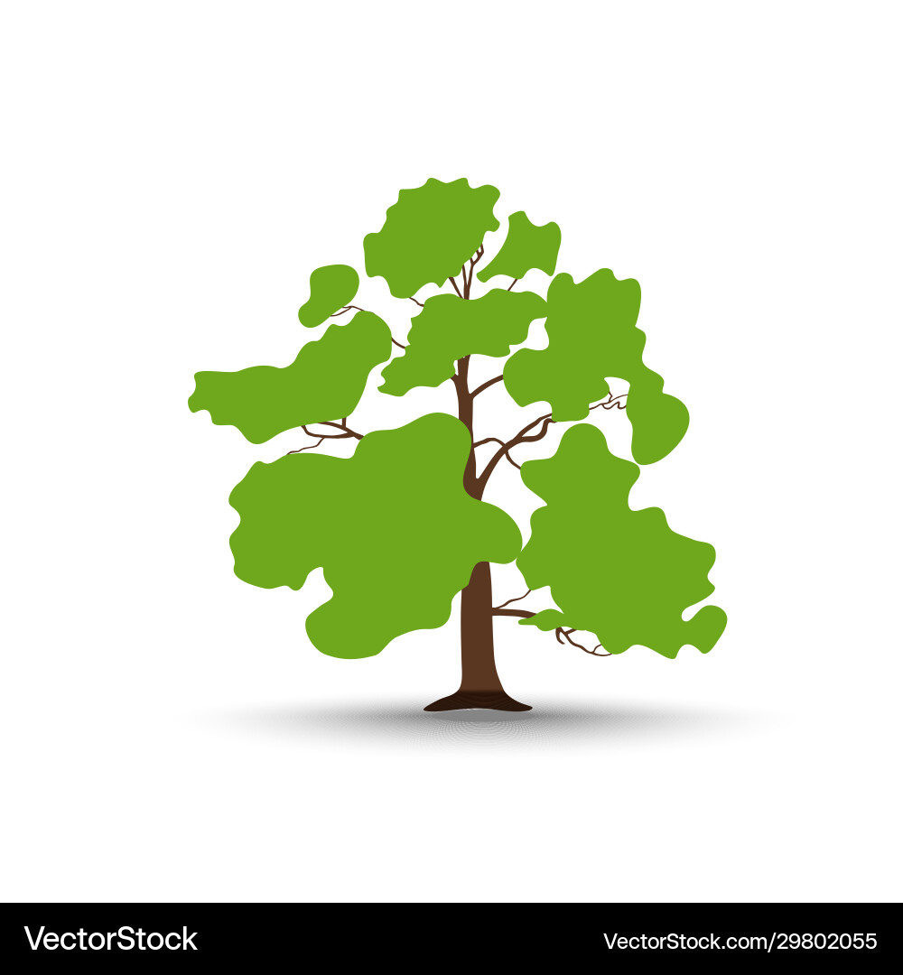 Oak tree icon Royalty Free Vector Image - VectorStock