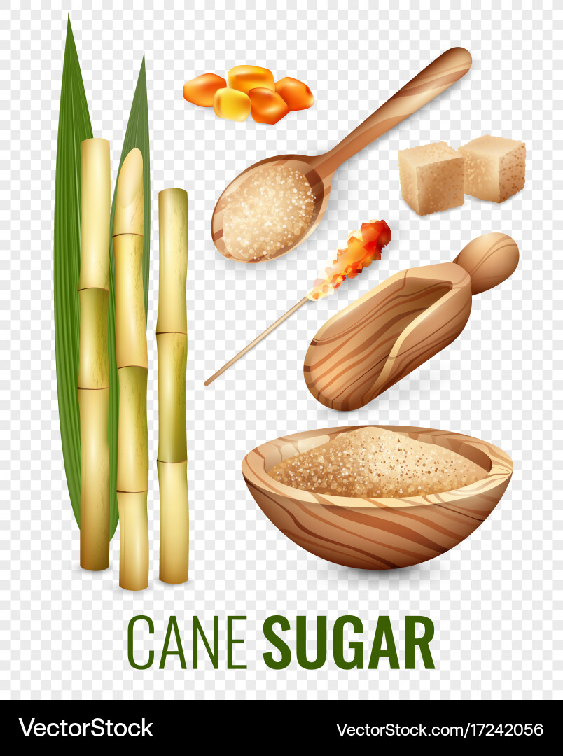 Cane sugar transparent set Royalty Free Vector Image