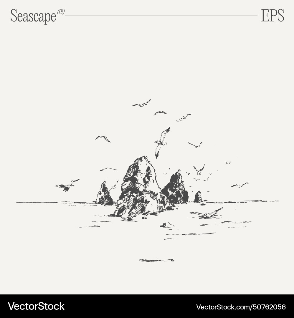 Seascape with rocks and flying seagulls Royalty Free Vector