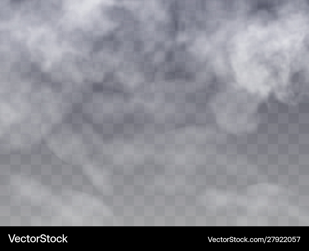 Transparent special effect stands out with fog Vector Image