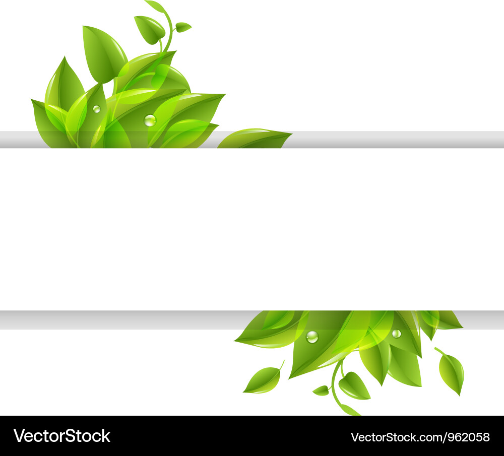 Leaf banner Royalty Free Vector Image - VectorStock