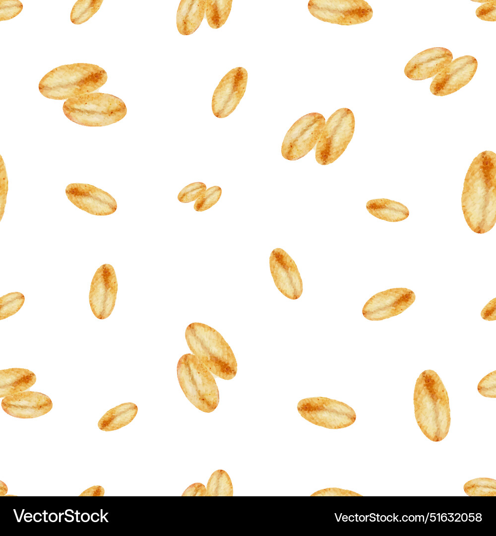 Watercolor seamless pattern oat grains wheat Vector Image